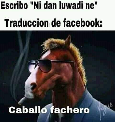Caballo fachero - Meme subido por BLADOVINO :) Memedroid