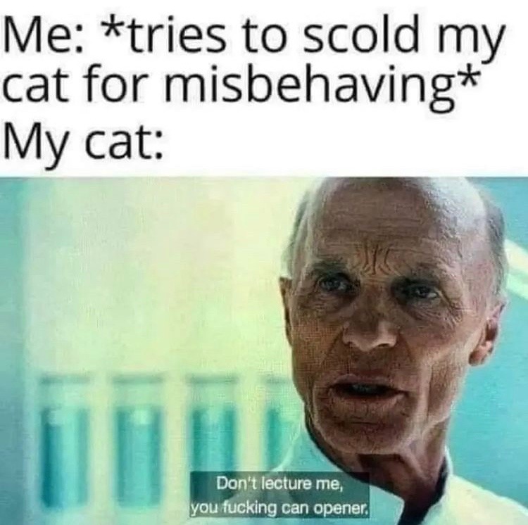 Meow - Meme by Username_Redacted :) Memedroid