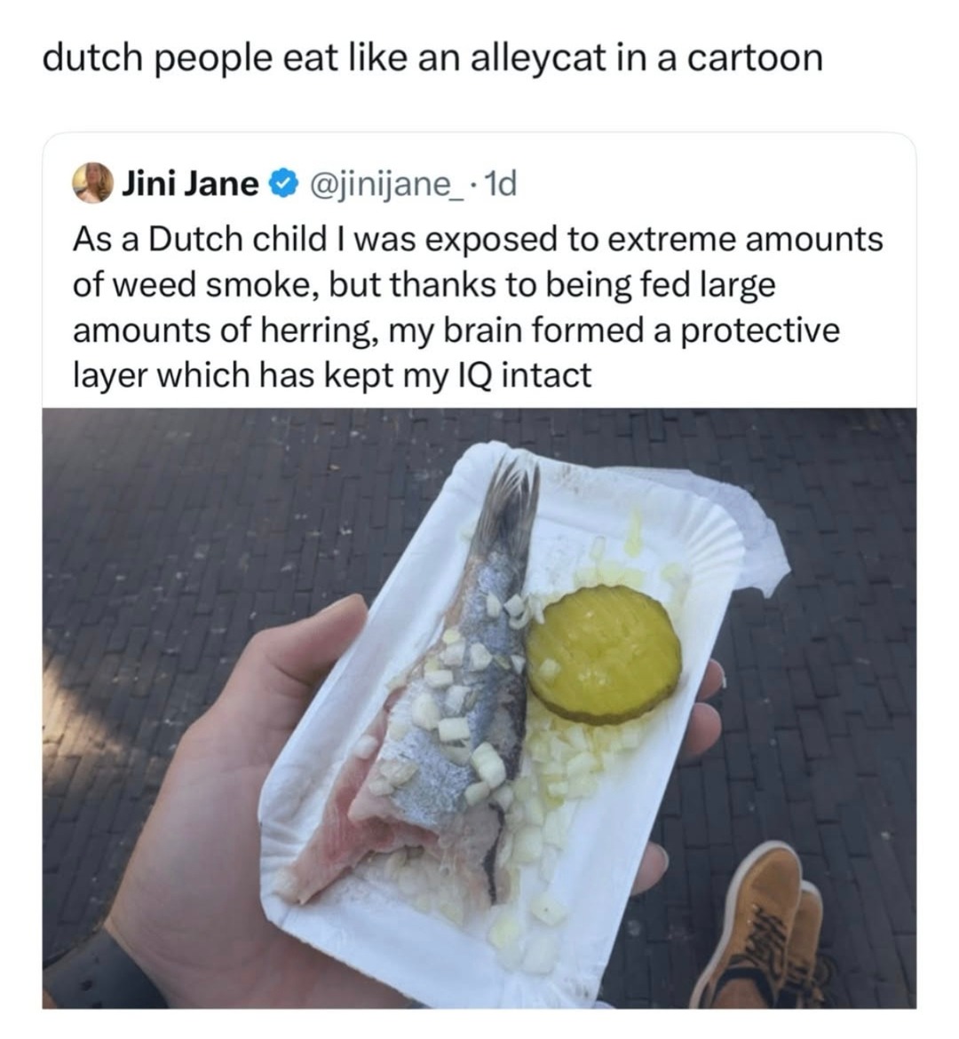The best Dutch memes :) Memedroid