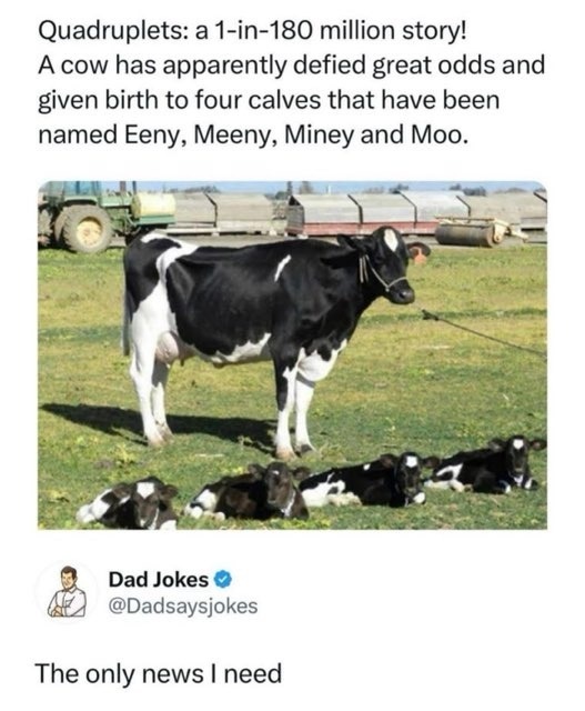 The best Cow memes :) Memedroid