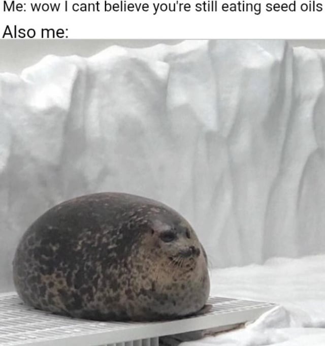 The best Food memes :) Memedroid