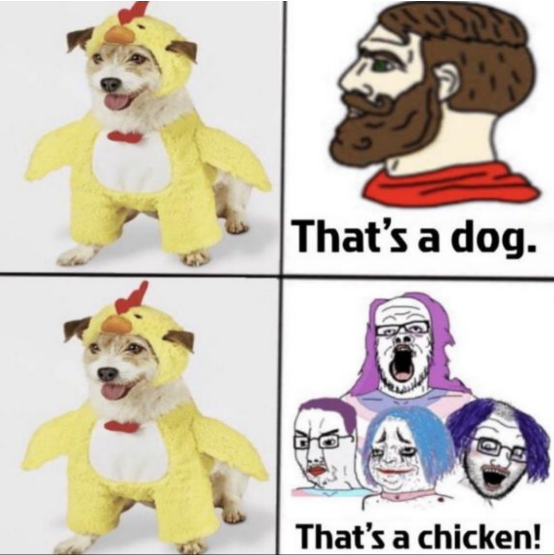 Chicken Dog - Meme by CWP1985 :) Memedroid