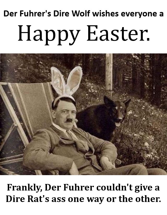 Latest memes / New memes :) Memedroid