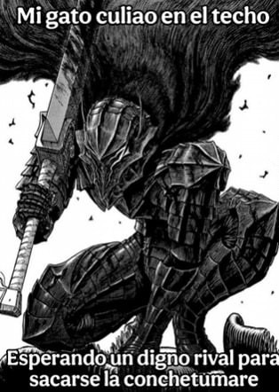 Top memes en tendencia en español :) Memedroid