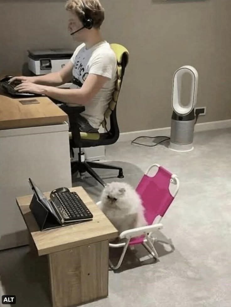 The best Setup memes :) Memedroid