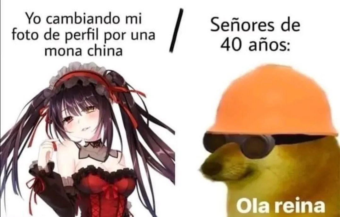 Señor - Meme subido por Sandro916 :) Memedroid