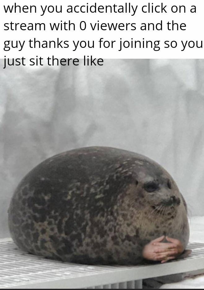 Twitch... - Meme by FluxYT :) Memedroid