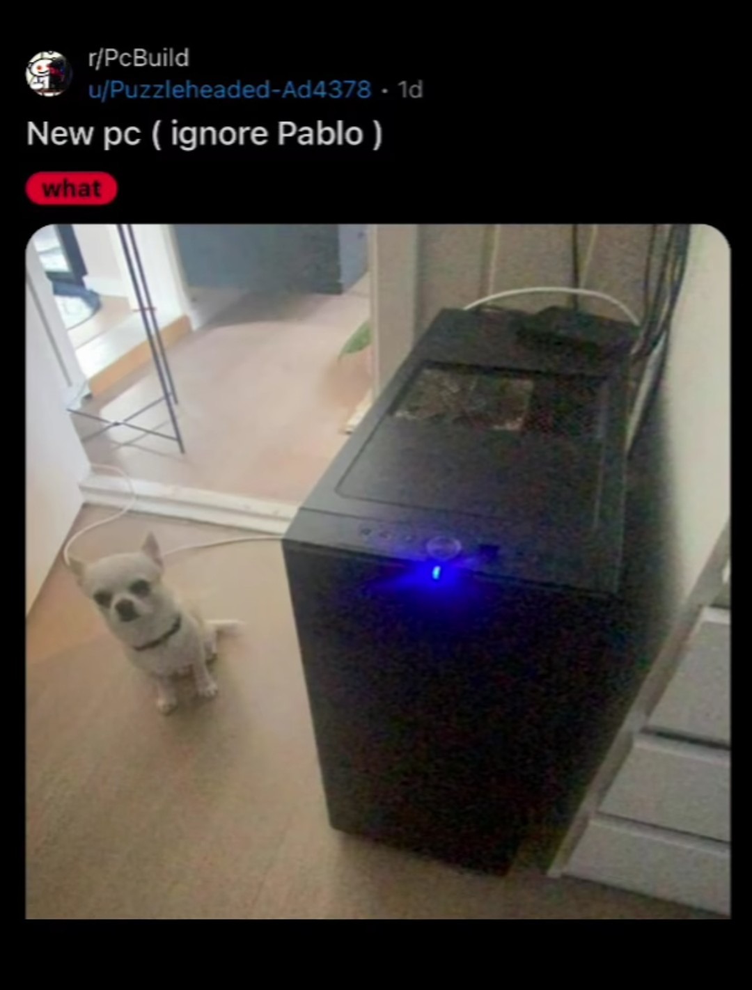 Latest memes / New memes :) Memedroid