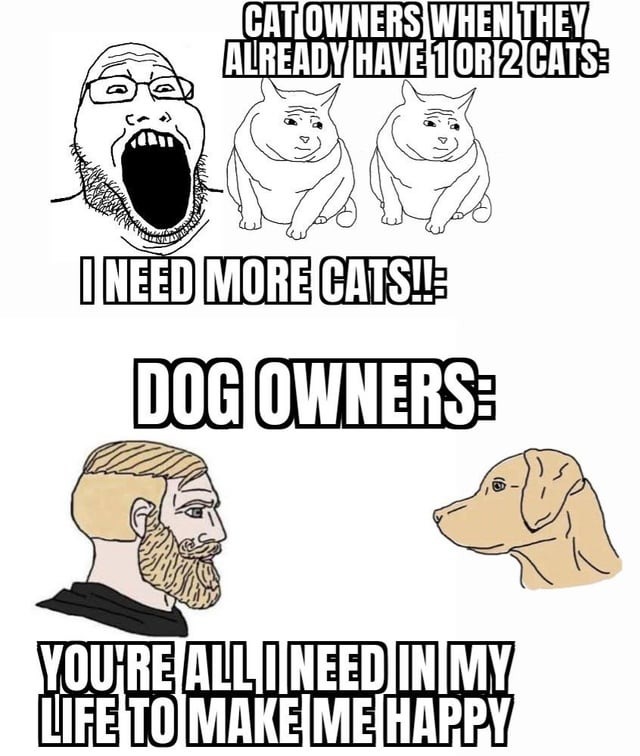 Latest memes / New memes :) Memedroid