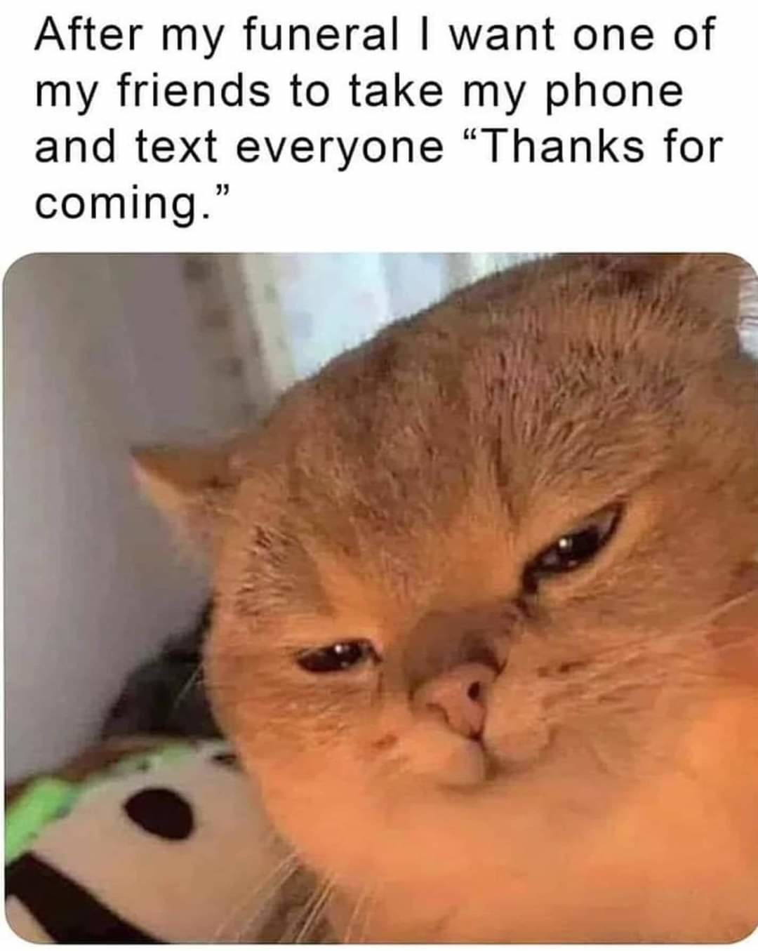 Jeffrey - Meme by YourOtherLeft :) Memedroid