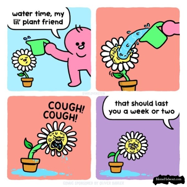 The Latest Memes :) Memedroid