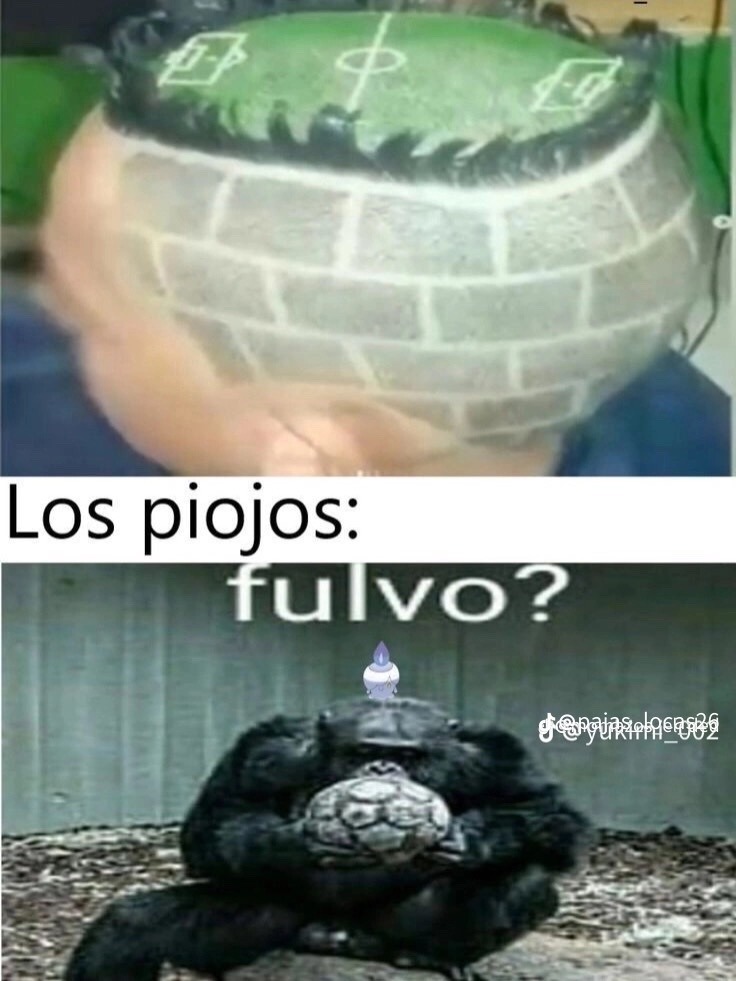 fulvo? - Meme by elpapushiposter :) Memedroid