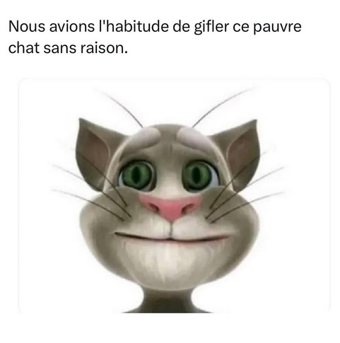 Les meilleurs mèmes Chat :) Memedroid
