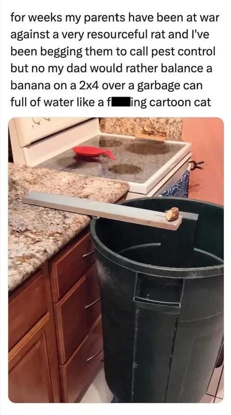 The best Cartoon memes :) Memedroid