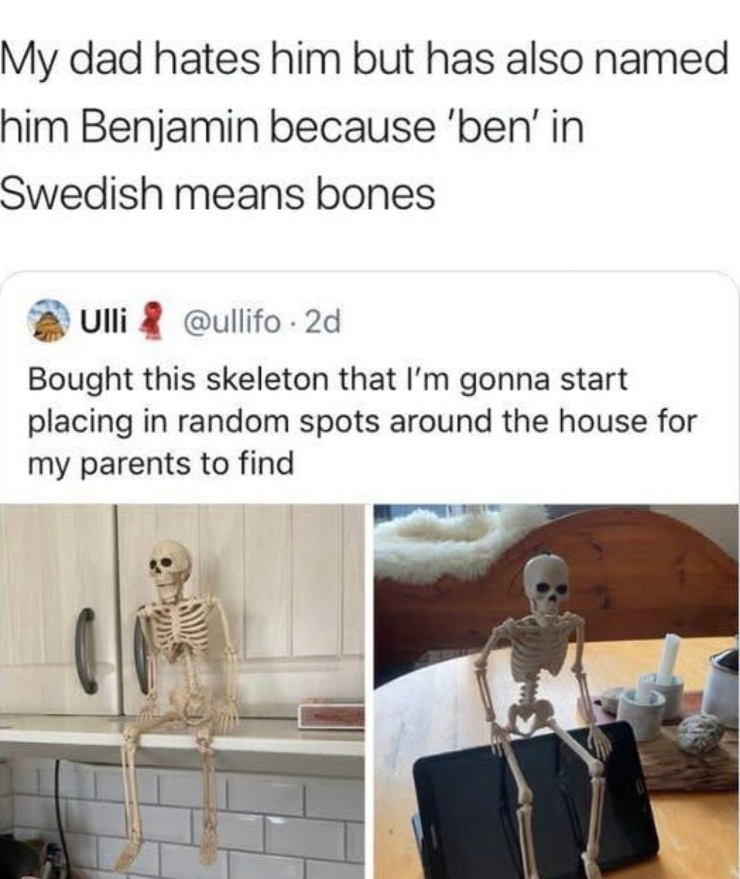 The best Skeleton memes :) Memedroid