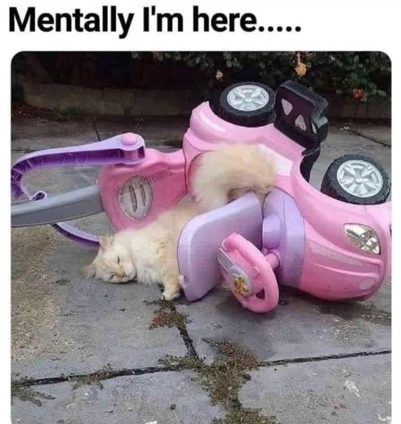 The best Meme memes :) Memedroid