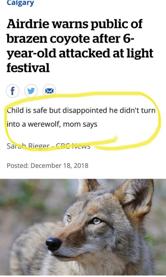 The best Coyote memes :) Memedroid