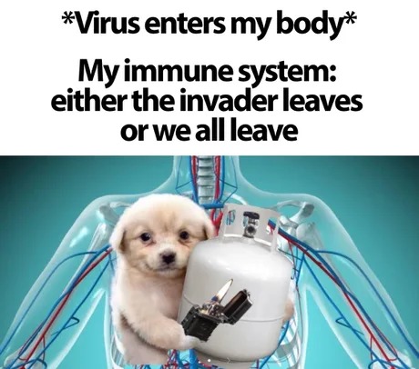 The best Virus memes :) Memedroid