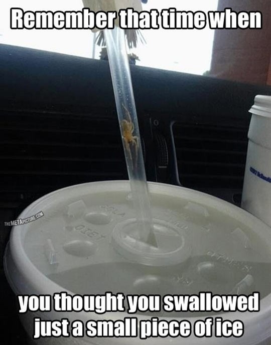 Memedroid - The best site to see, rate and share memes, gifs and funny ...