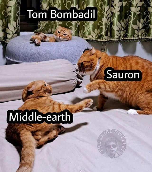 Tom Bombadil Memes