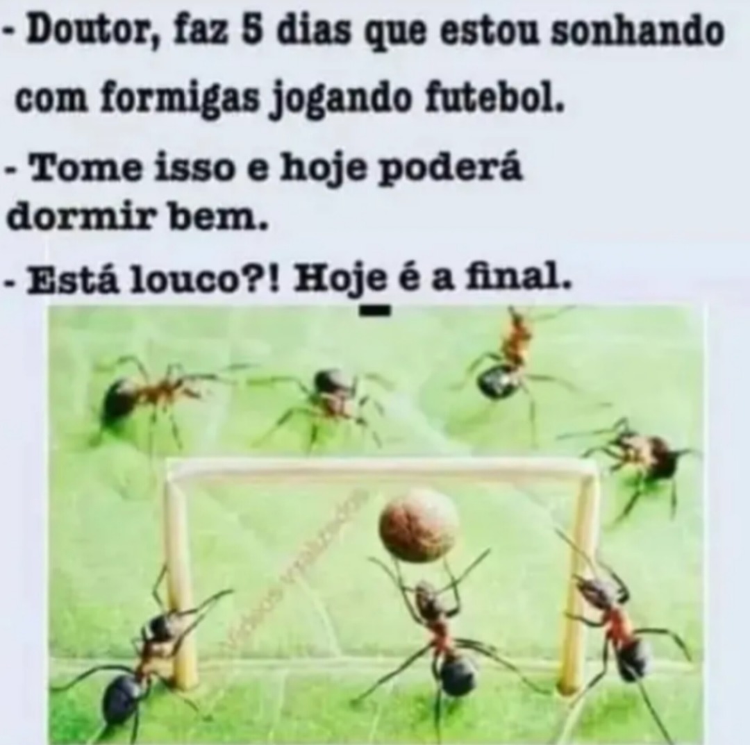 The best Futebol memes :) Memedroid