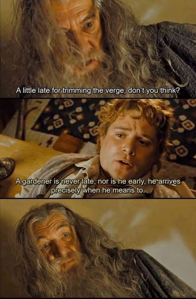 The best Gandalf memes :) Memedroid