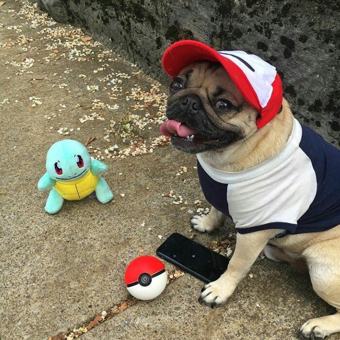 Kajaj - Meme subido por flechadeacero :) Memedroid