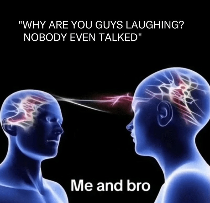 The best Laughing memes :) Memedroid