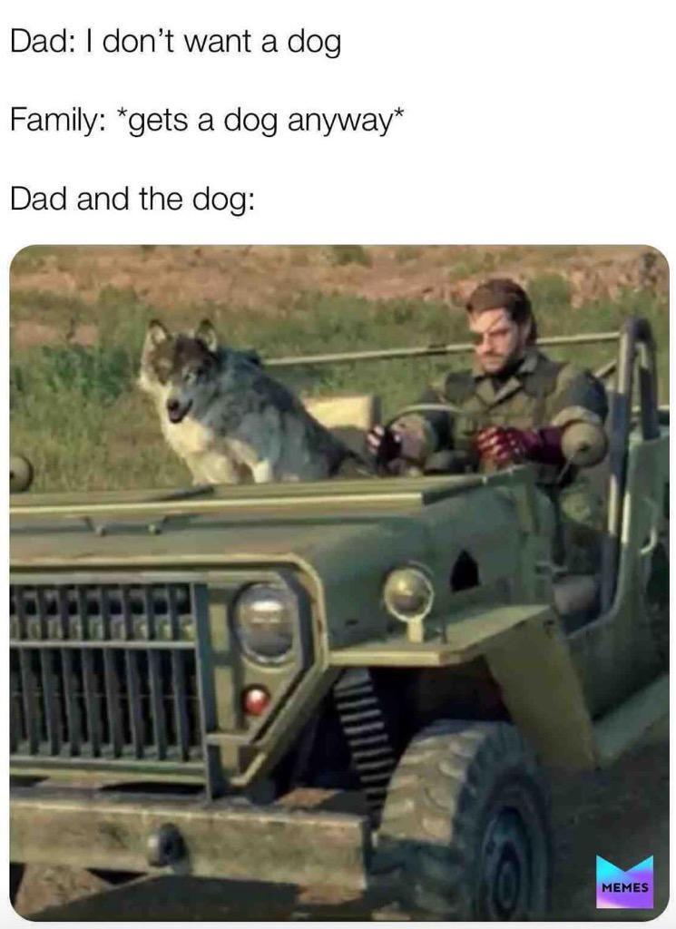 Guard Dog Meme
