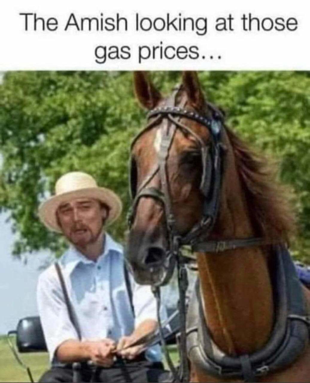 Amish Man Memes Guy Showing Printed Memes To Amish | TikTok