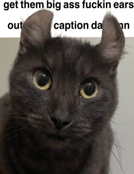 Please get out of the way - Meme subido por Grug :) Memedroid