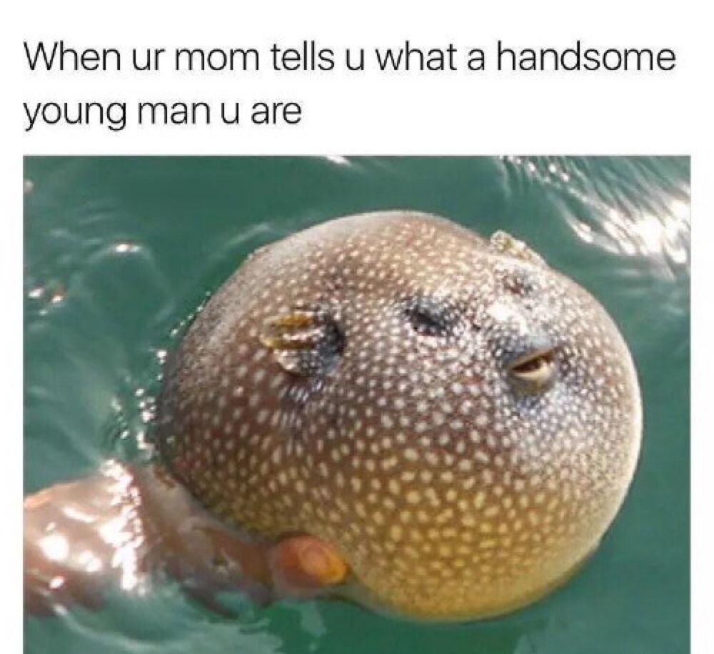 fish - Meme by PennyLswafford :) Memedroid