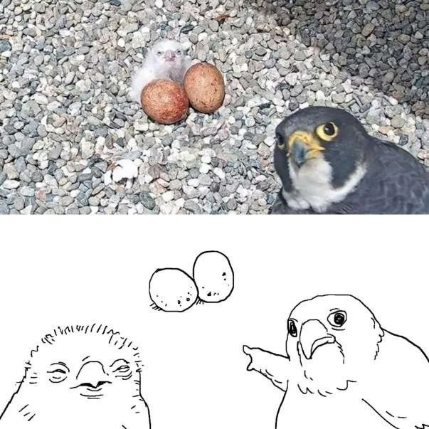 Últimos memes :) Memedroid