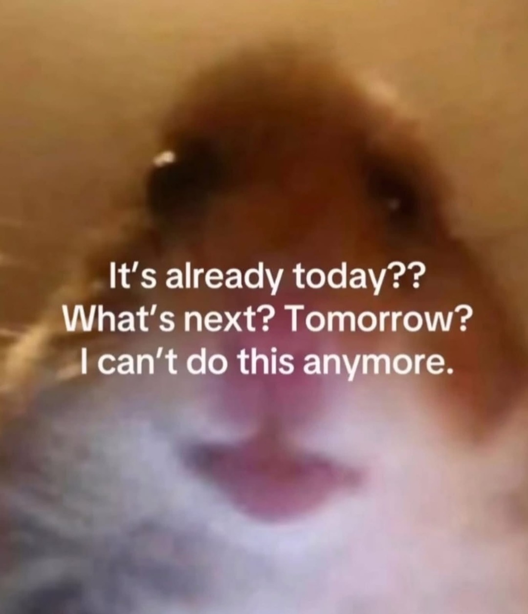 Thursday Memes: The Latest Humor to Get Through the Week