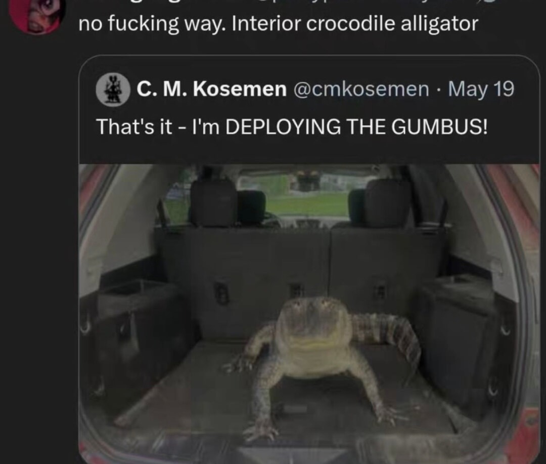 The best Crocodile memes :) Memedroid