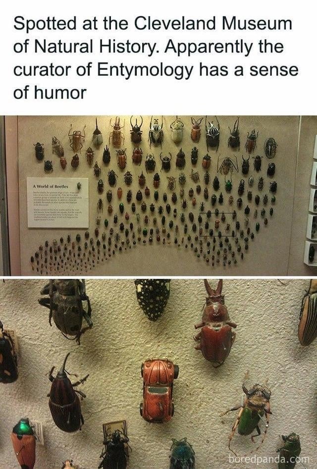 The best Museum memes :) Memedroid