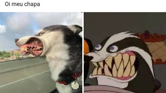 The Latest Memes :) Memedroid