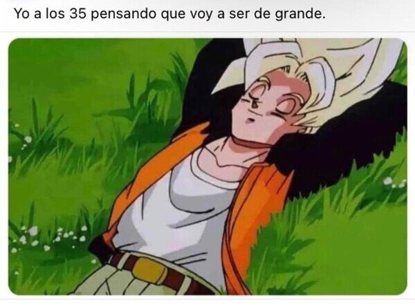 Los Últimos Memes :) Memedroid