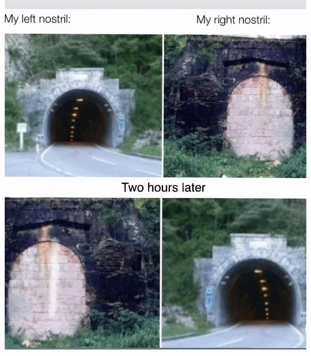 The Latest Memes :) Memedroid