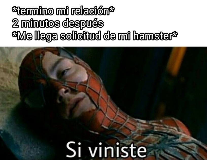 Los Últimos Memes :) Memedroid