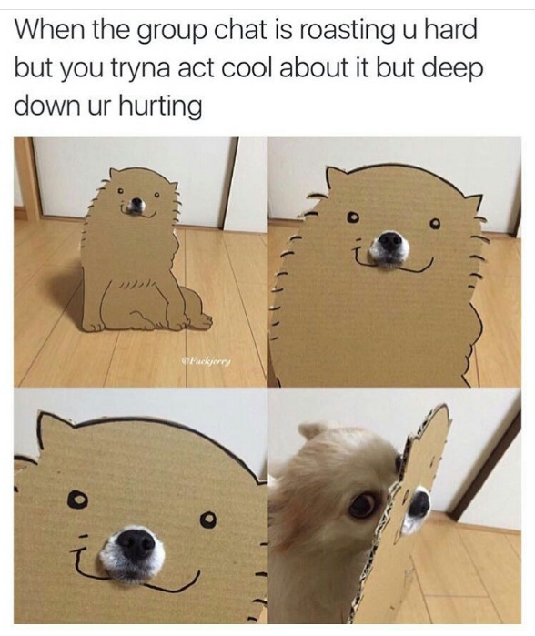 Follow for follow - Meme by Tweet :) Memedroid