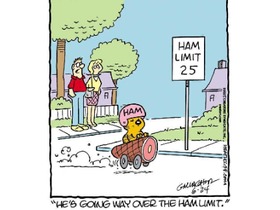 The best Ham memes :) Memedroid