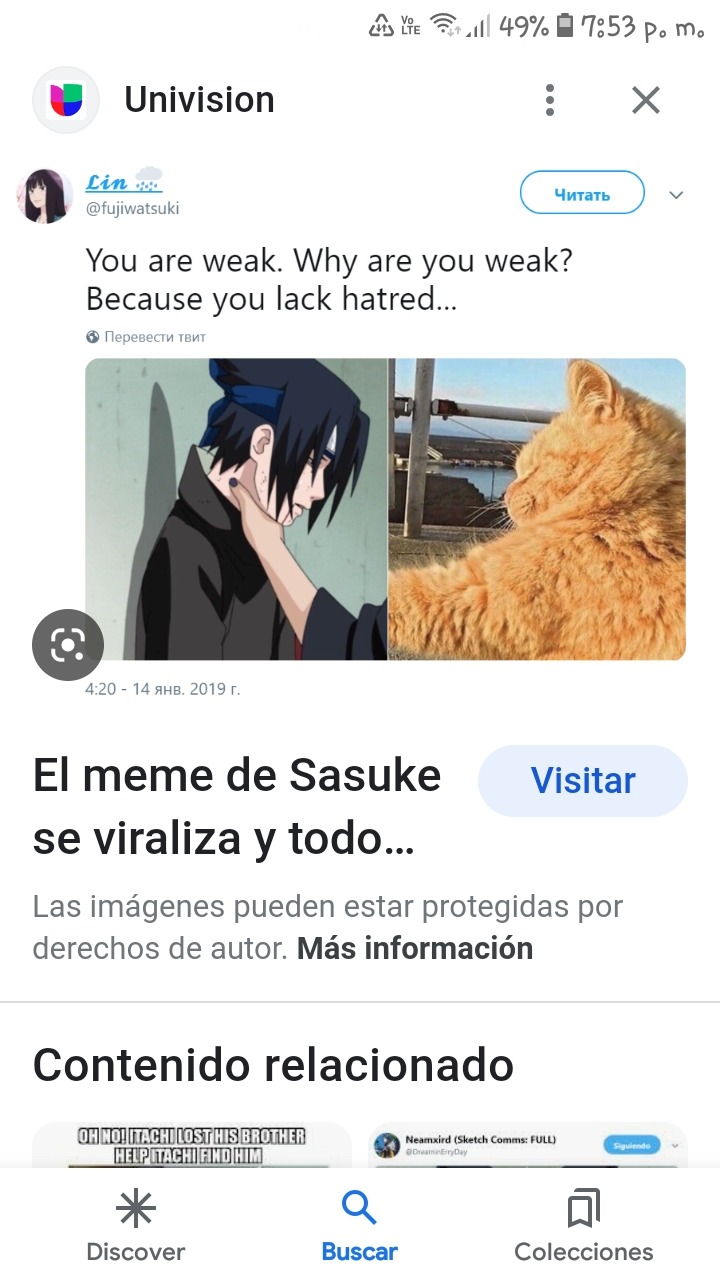 El gato mamadisimo xd - Meme by itachi :) Memedroid