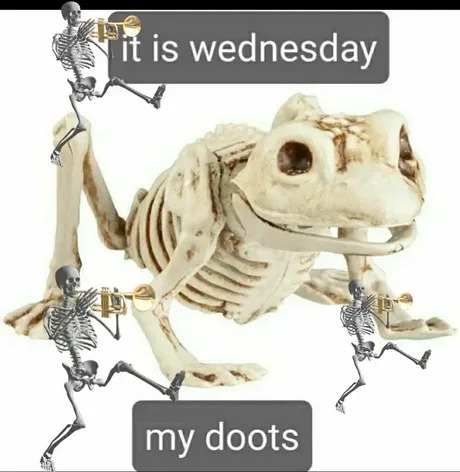 Latest memes :) Memedroid