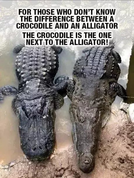 Such a crock - Meme by ihutchi1212 :) Memedroid