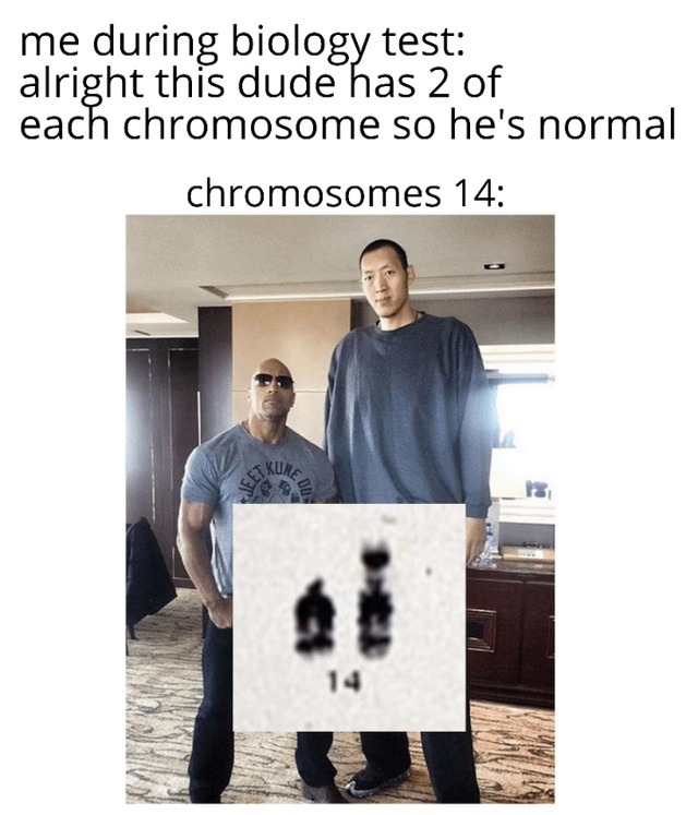 Bio Majors Memes The Best Biology Memes :) Memedroid
