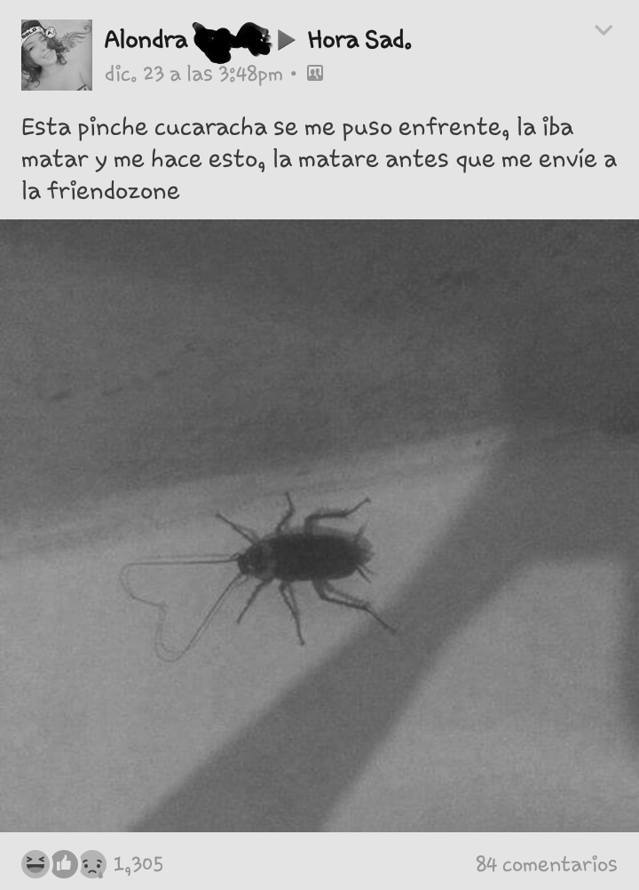 :'v no desearía ser la cucaracha (Laura Sad) - Meme subido por Nico.MMM ...