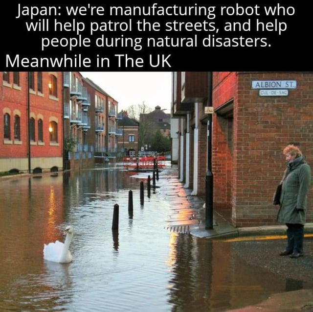 The Latest Memes :) Memedroid