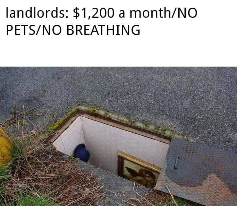 G - Meme by zhentrixcalipso :) Memedroid