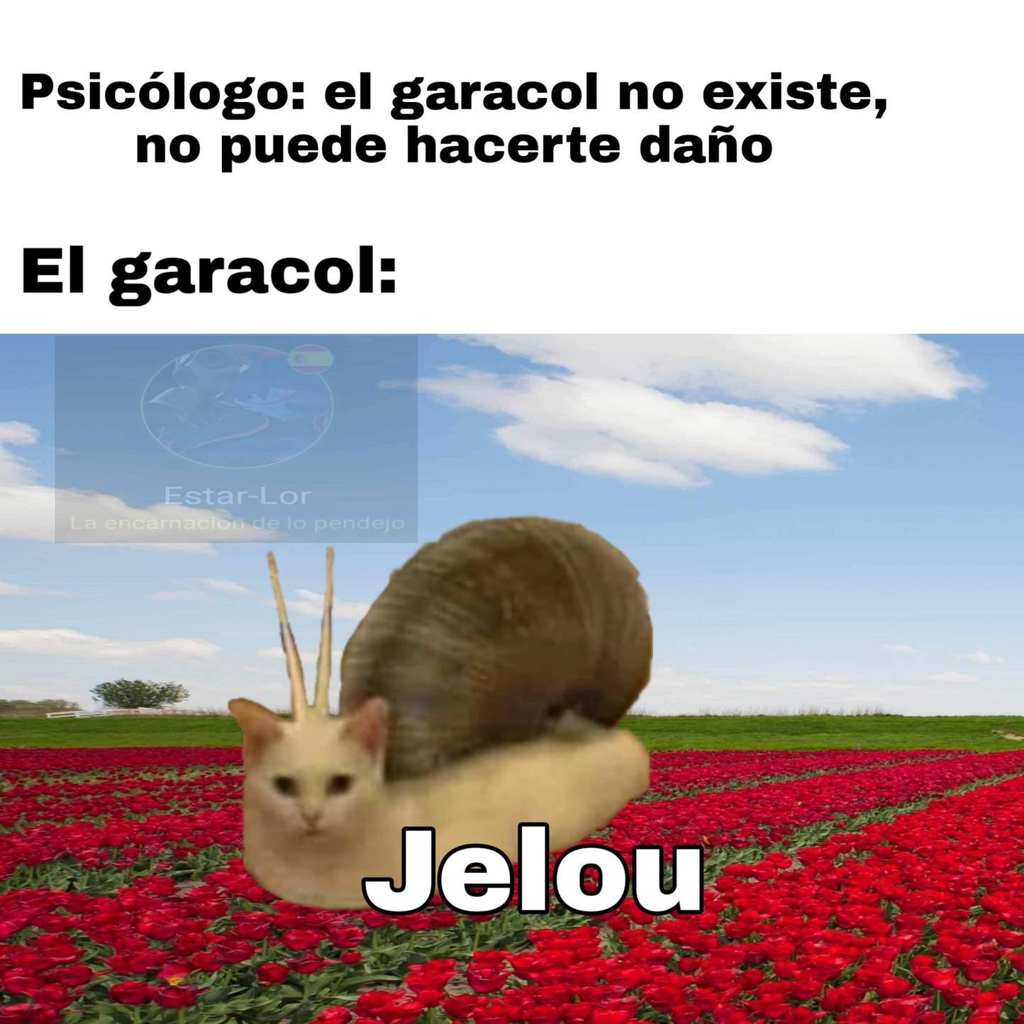 Para los tontitos: Gato+Caracol= Garacol - Meme subido por Estar-Lor ...